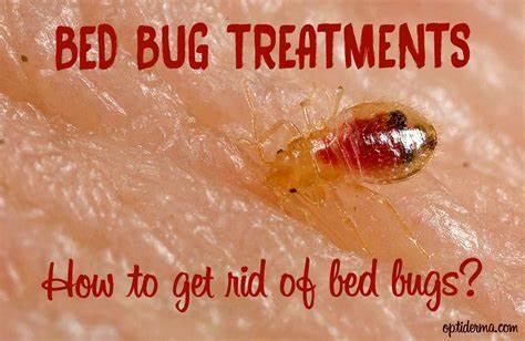 What Pesticide Kills Bed Bugs