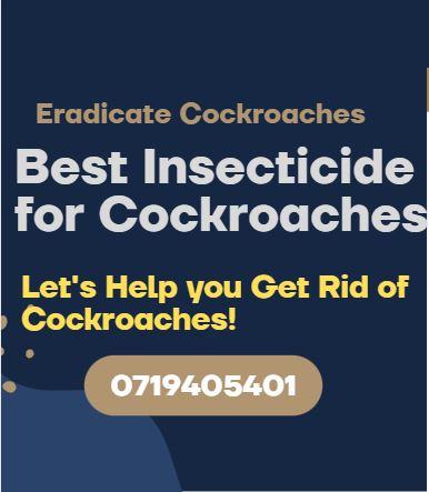 Best Insecticide for Cockroaches in Kenya | Exterminate Roaches
