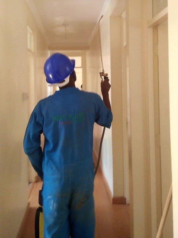 PEST FLASH, IS KENYA'S BEST PEST CONTROL, AND FUMIGATION SERVICE PROVIDER.