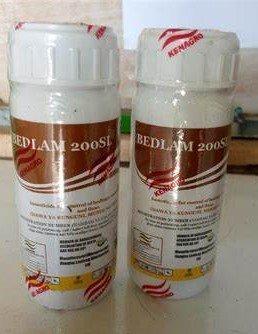 Buy Bedlam 200SL - Bedlam Bedbug Killer Chemical 2025