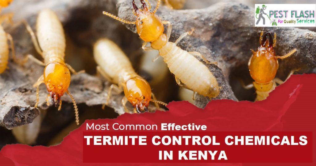 Buy TERMIDOR 96SC 1L Termite Control Chemical in Kenya