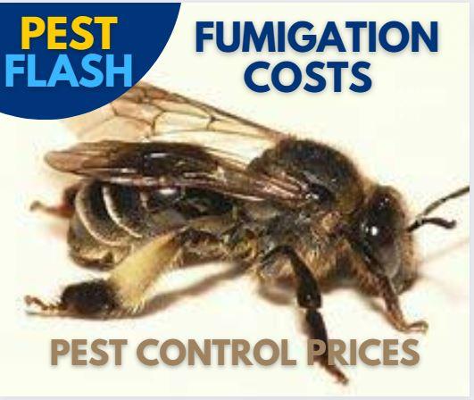 #1 Best Pest Control Prices in Kenya | Fumigation Costs - 2025