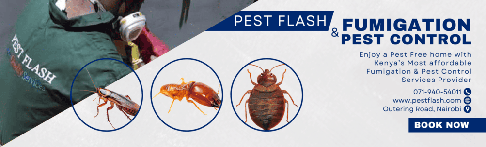 Our Blog - PEST FLASH